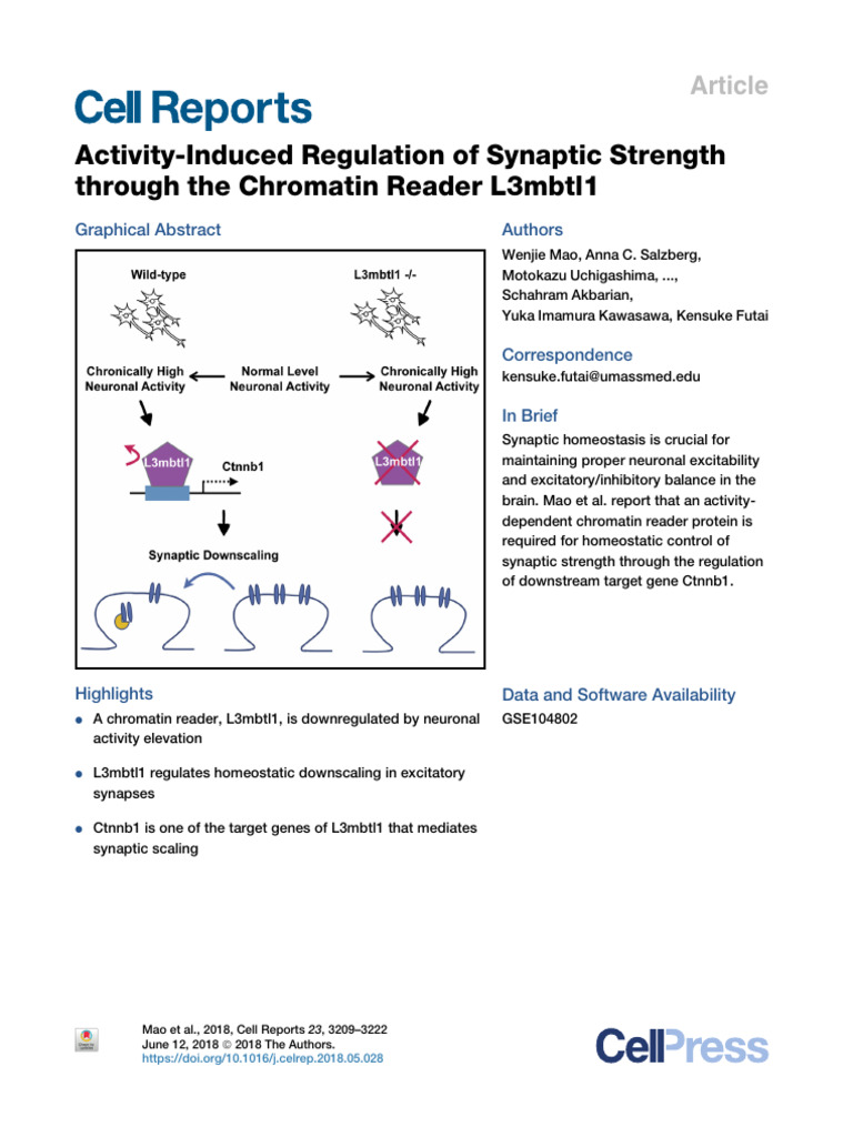 Activity-Induced Regulation of Synaptic Strength | PDF | Synapse ...