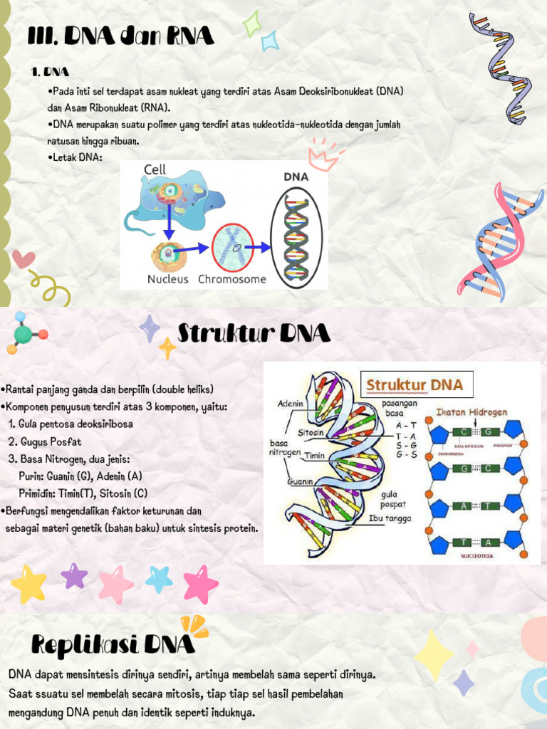 Biologi DNA Dan RNA | PDF