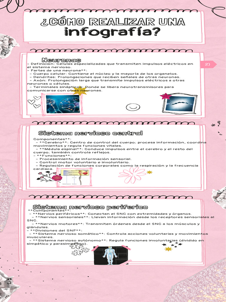 Infografía de Proceso Notas de Papel Aesthetic Rosa Blanco - 20241106 ...