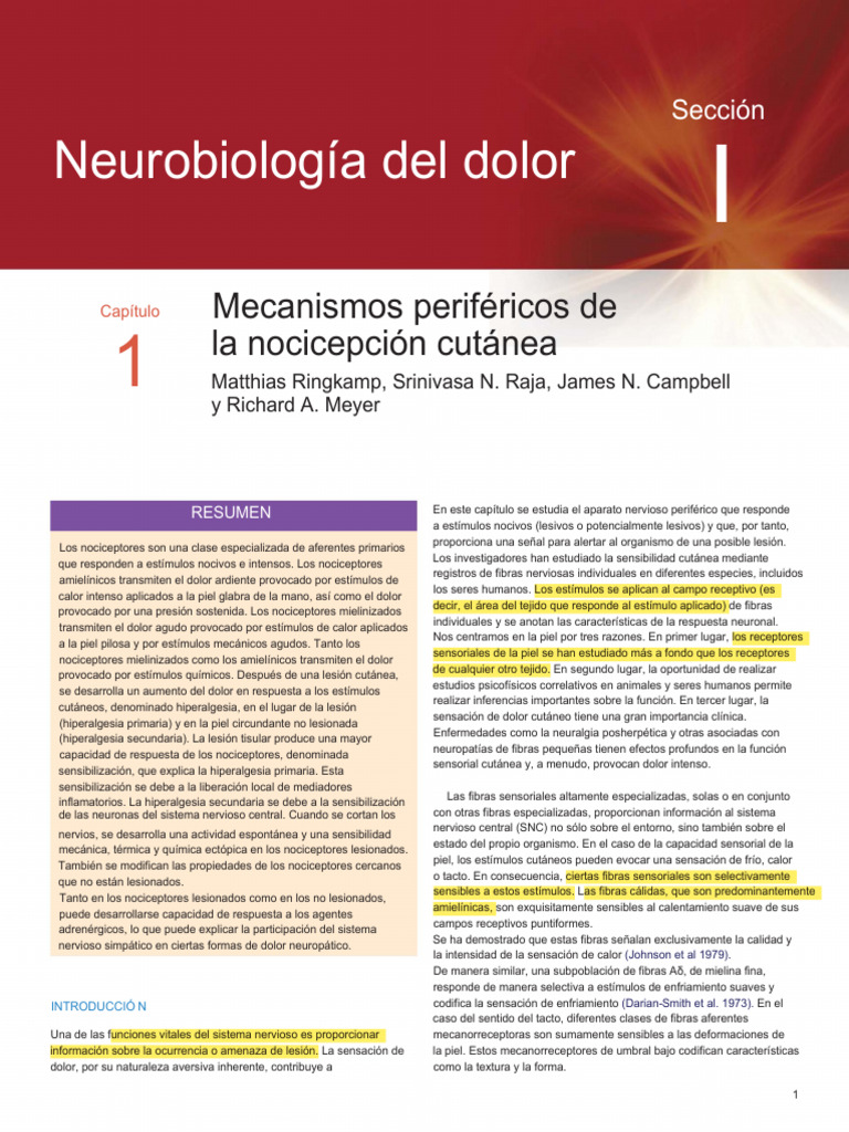 Cap 1 Neurobiologia Del Dolor | PDF | Dolor | Sistema nervioso