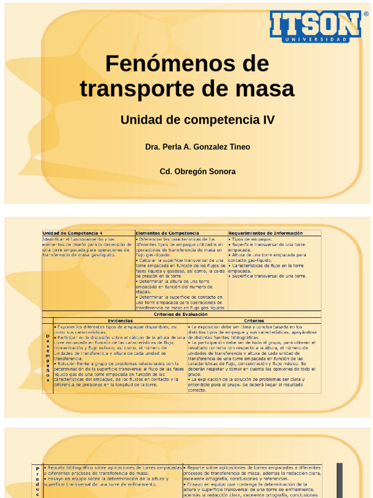 Unidad IV Torres Empacadas | PDF