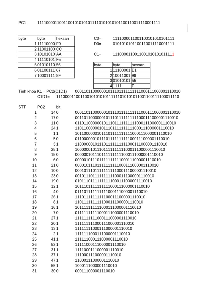 Nguyễn Công Minh | PDF | Computer Data | Encodings