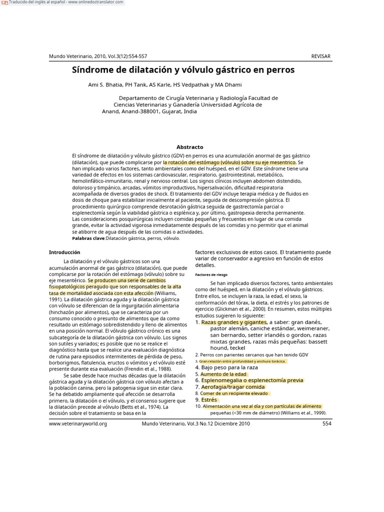 GDV en perros: diagnóstico y tratamiento | PDF | Terapia | Medicina CLINICA