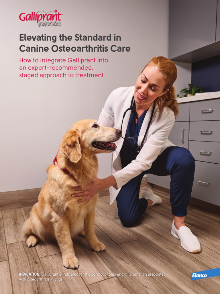 2024 Galliprant Master Vet Detailer | PDF | Diseases And Disorders ...