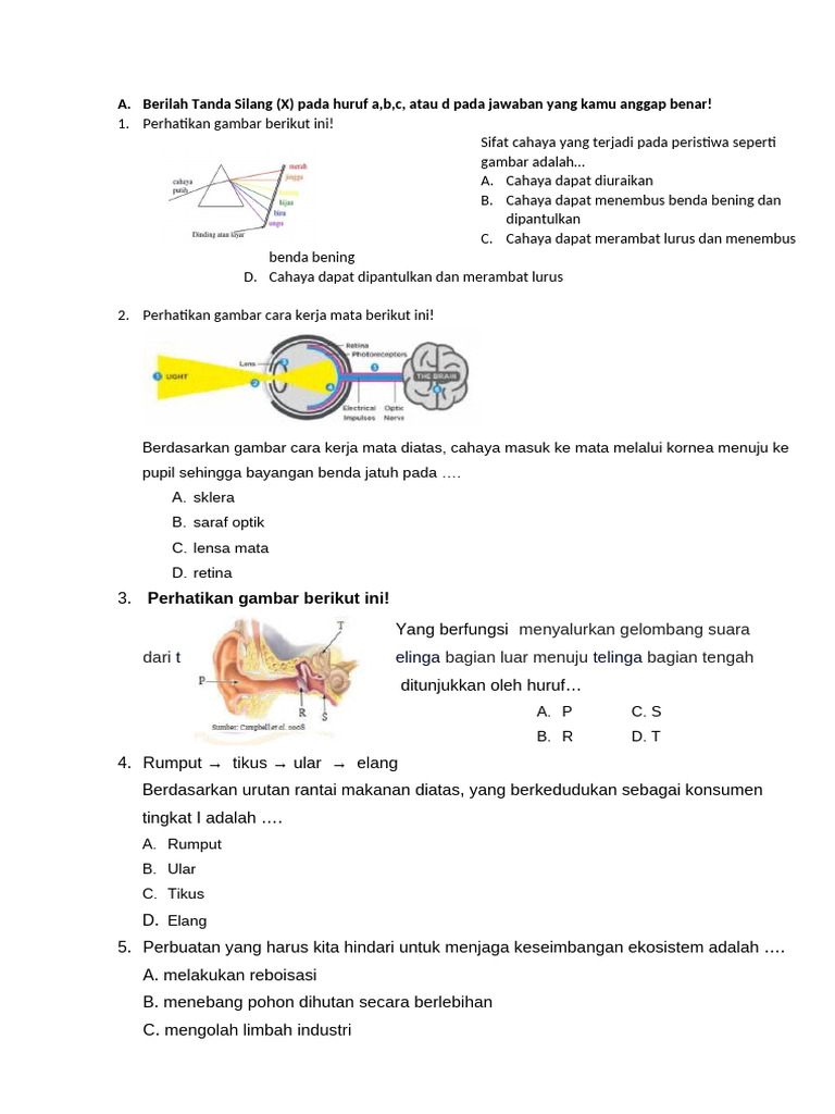 Soal Pilihan Ganda IPA dan Kunci Jawaban | PDF