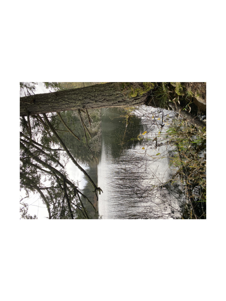 Lake 2 | PDF