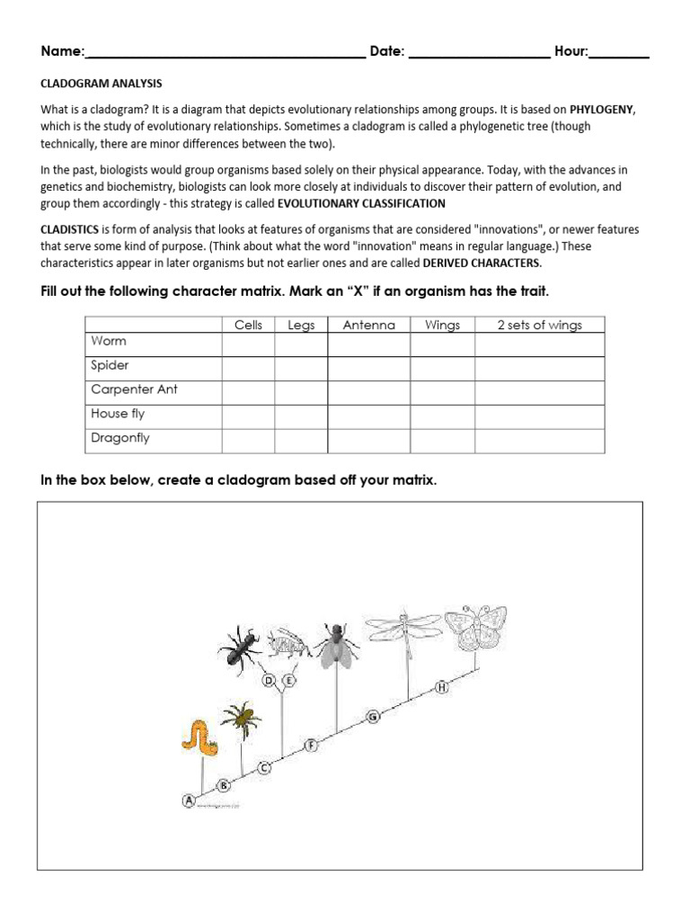 Cladogram | PDF | Nucleic Acid Sequence | Phylogenetics