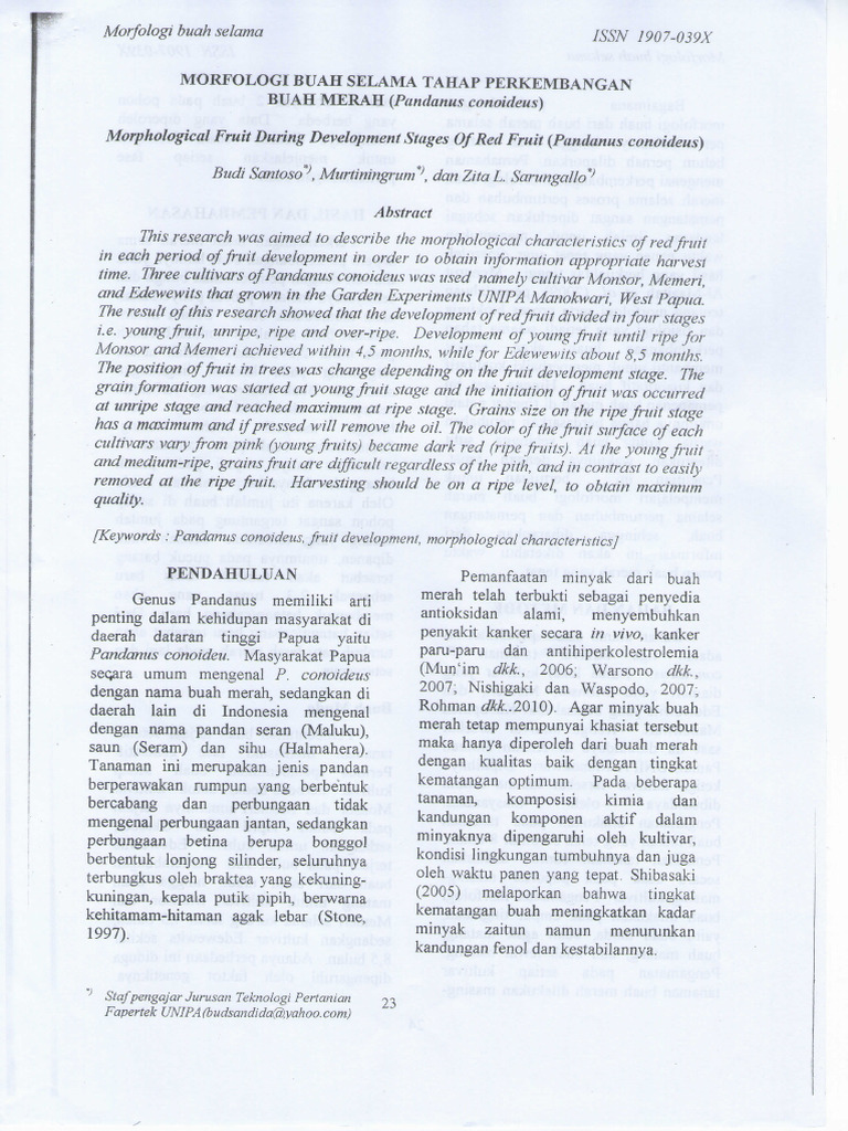 9 Morfologi Buah Merah-Agrotek | PDF