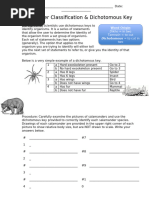 Salamander Classification & Dichotomous Key - With Answers | PDF ...