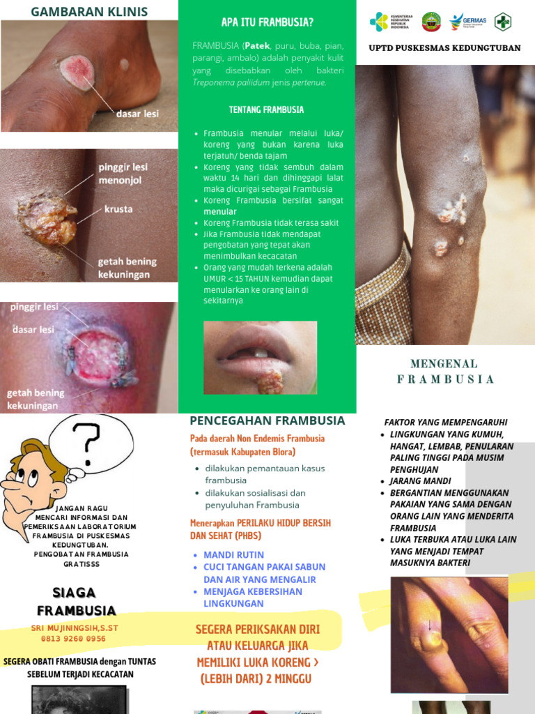 Leaflet Frambusia 2023 | PDF