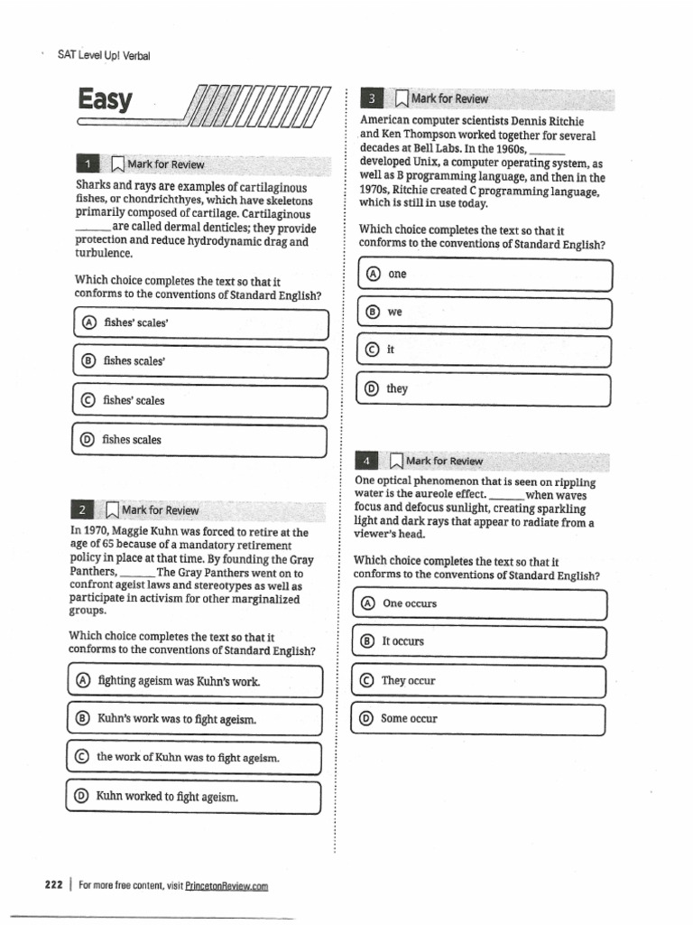 Pronouns, Nouns, and Modifiers Drills | PDF