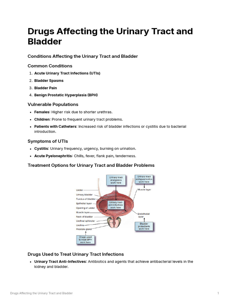 Drugs Affecting The Urinary Tract and Bladder | PDF | Urinary Tract ...