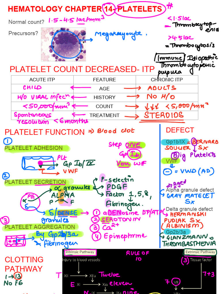 Bleeding Disorders | PDF | Coagulation | Platelet