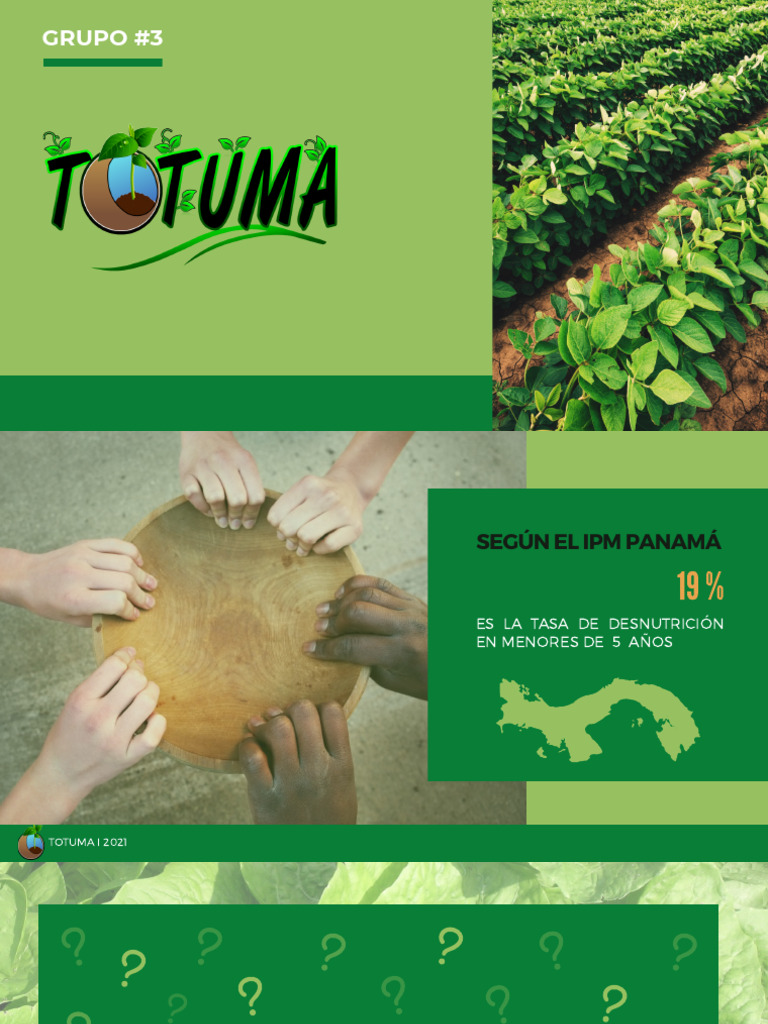 Elevator Speech | PDF