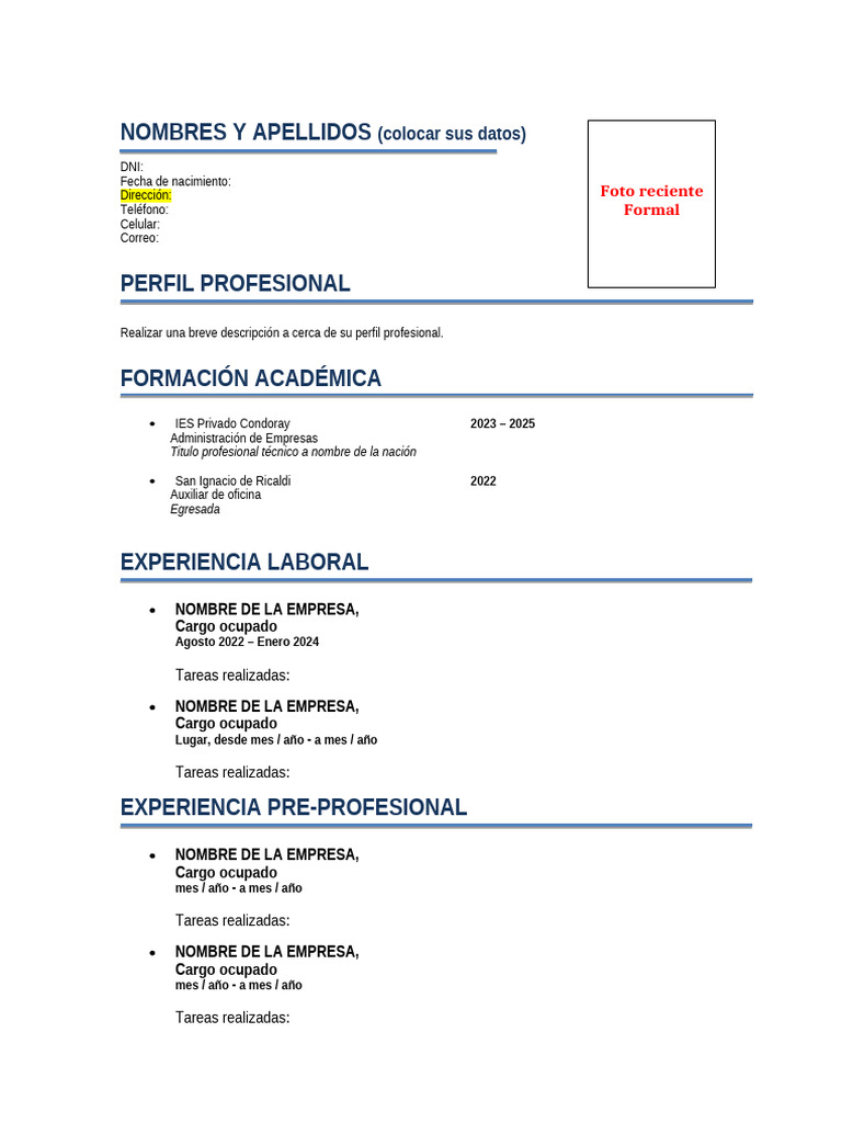 Formato de CV 2 | PDF
