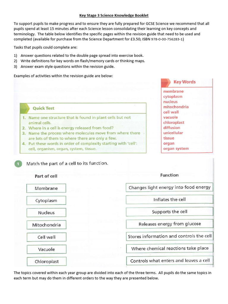 Key Stage 3 Science Revision Guide | PDF | Cellular Respiration ...