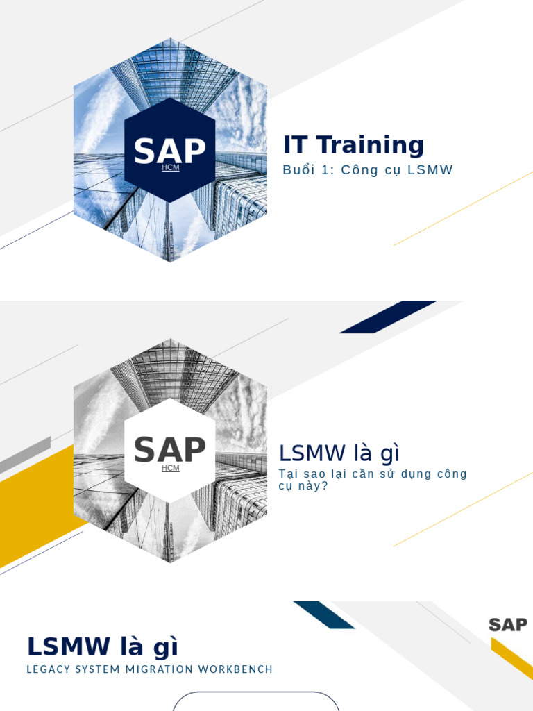 Huong Dan Su Dung LSMW | PDF