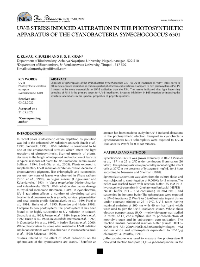 UV-B Effects on Synechococcus 6301 Photosynthesis | PDF ...