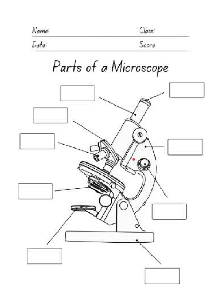 Activity 1 Microscope | PDF