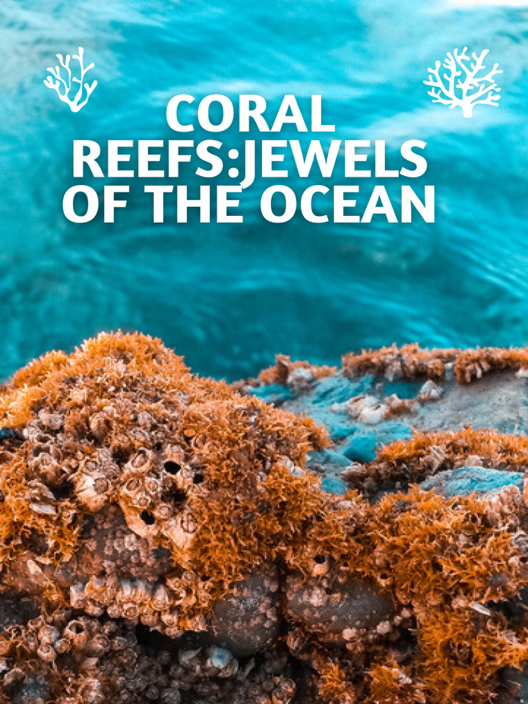 Coral Reefs | PDF