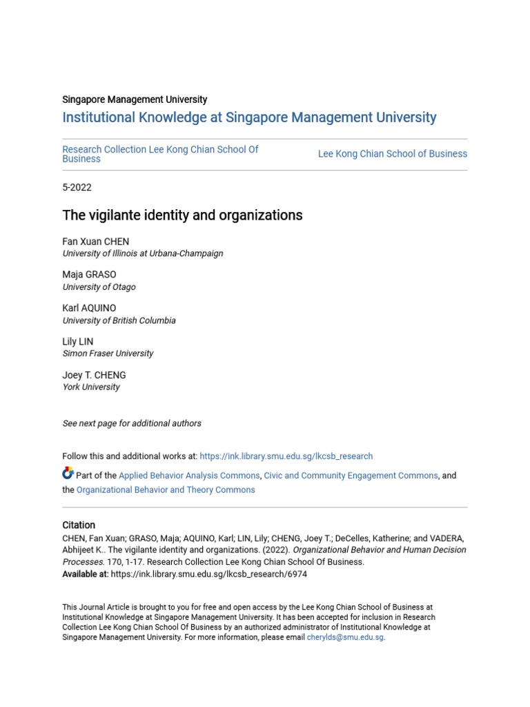 The Vigilante Identity and Organizations | PDF | Identity (Social ...