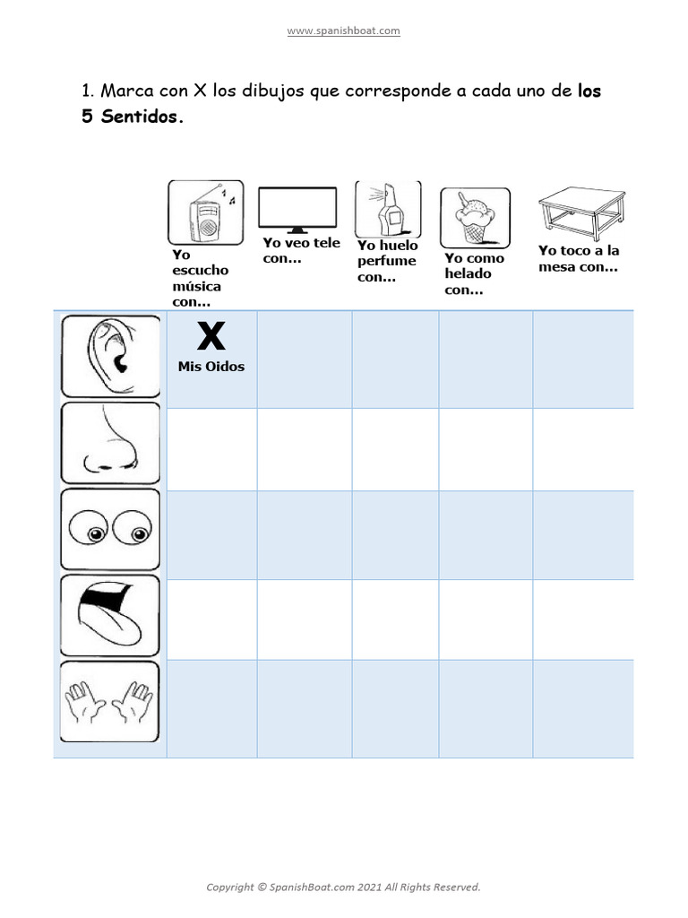 5 Senses Spanish Worksheets | PDF