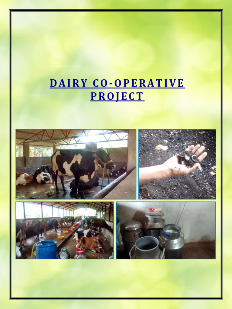 dairy_coop_project | PDF | Dairy | Cooperative