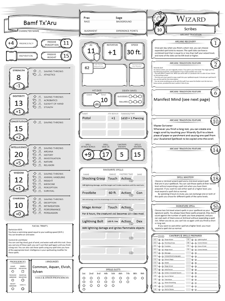 Bamf TX'Aru - Level 10 Wizard | PDF