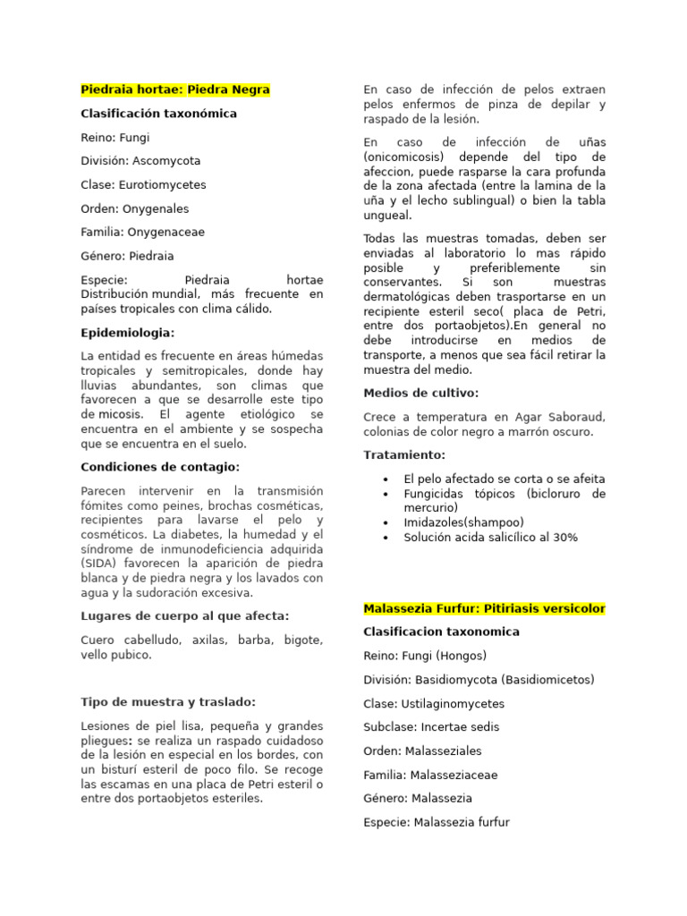 Piedraia Hortae | PDF | Hongo | Infección