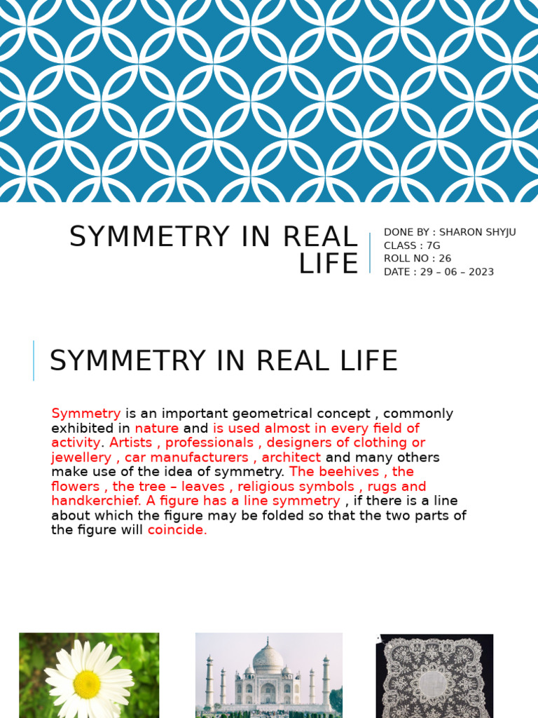 Symmetry for Young Learners | PDF | Art | Lifestyle