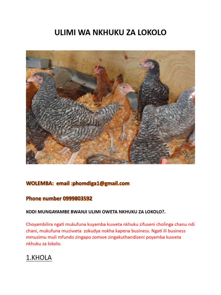 Ulimi wa Nkhuku za Lokolo: Ndondomeko | PDF | Home & Garden