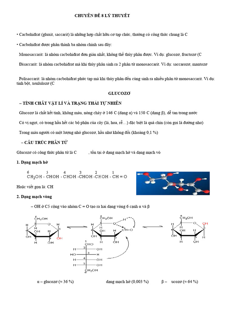 Chuyc3aan C491e1bb81 8 lc3bd Thuye1babft Cacbohidrat | PDF