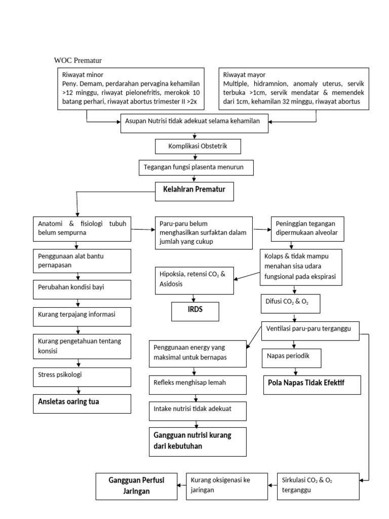 Woc Prematur | PDF