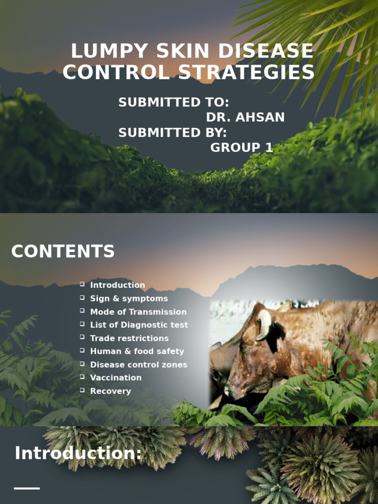 Lumpy Skin Disease Control Strategies. G-1 (Morning) | PDF | Causes Of ...