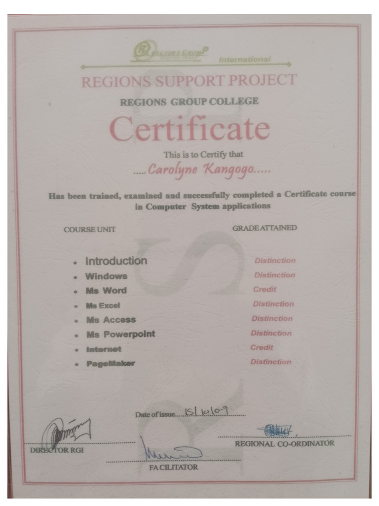 Computer Certificate | PDF