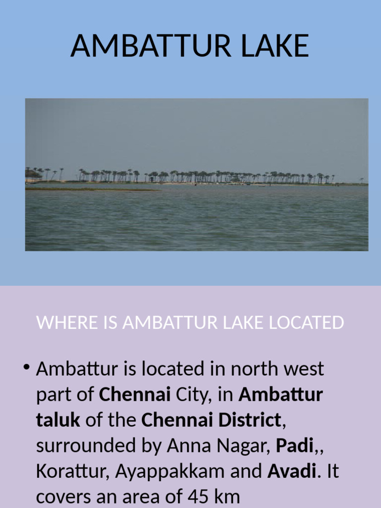 Ambattur Lake Rose PPT Science Project | PDF