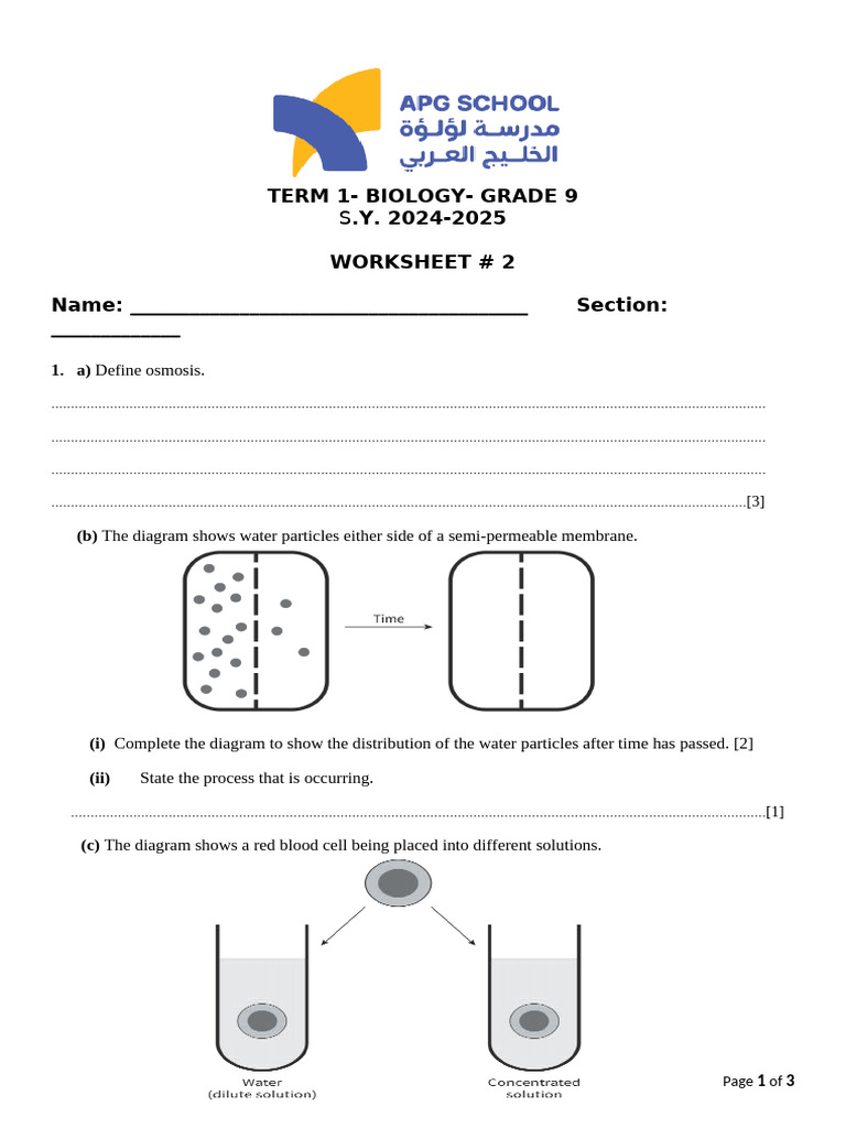 G9 Worksheet 2 Chapter 3 | PDF | Cell (Biology) | Osmosis