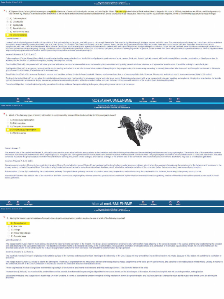 Nbme 28 A | PDF | Business