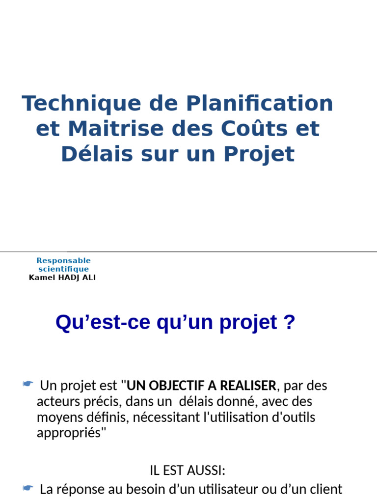 Technique de Planification Et Maitrise Des Coûts Et Délais Sur Un Projet | PDF | Gestion de ...