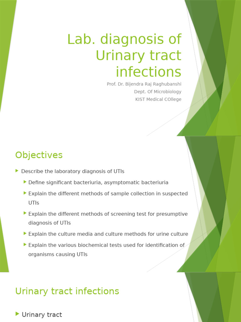 lab diag. of UTIs | PDF | Urinary Tract Infection | Urinary System