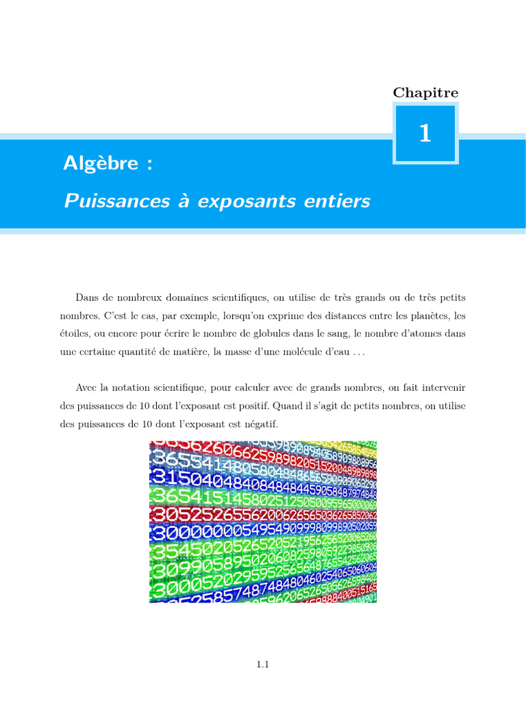 Puissances à Exposants Entiers | PDF | Nombre | Entier relatif