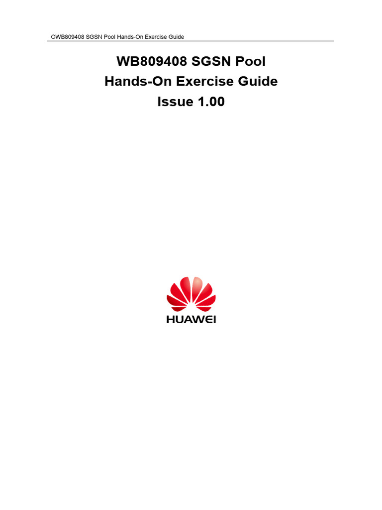 06 OWB809408 SGSN Pool Hands-On Exercise Guide Issue - Students - 1.01 | PDF | Troubleshooting ...