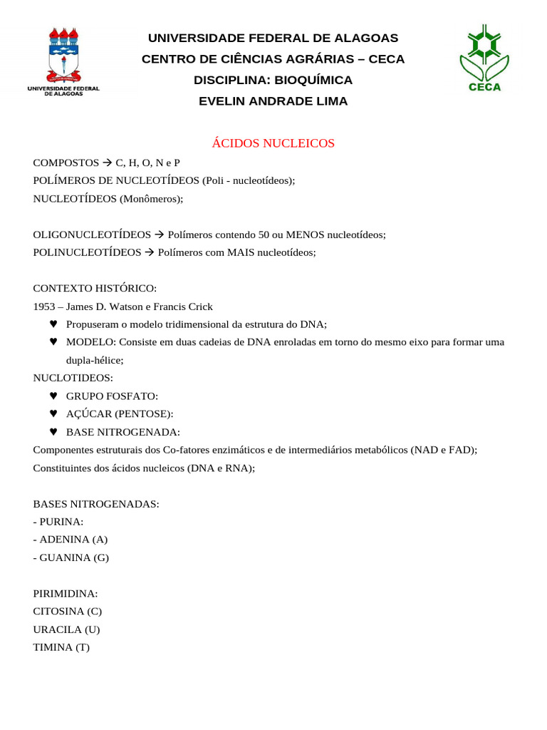 Resumo Ácidos Nucleico Ab1 | PDF | RNA | DNA