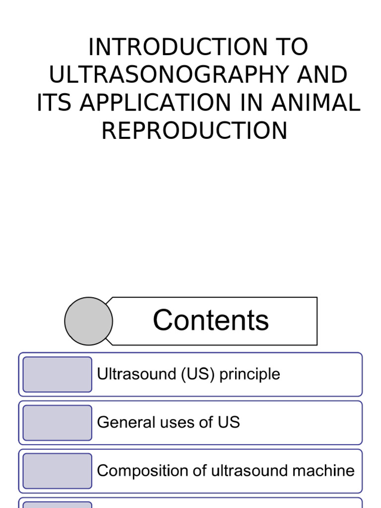 Lecture # 6 Ultrasound in Anim Rep-1 | PDF | Medical Ultrasound ...