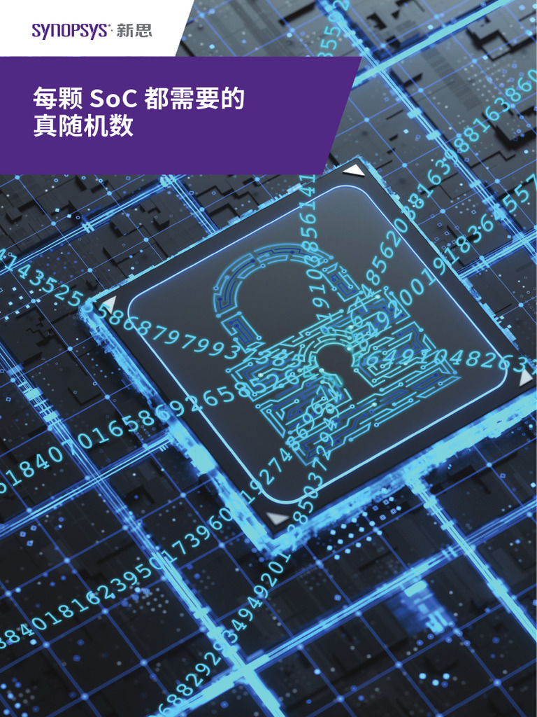 TRNG Security Ip CN | PDF