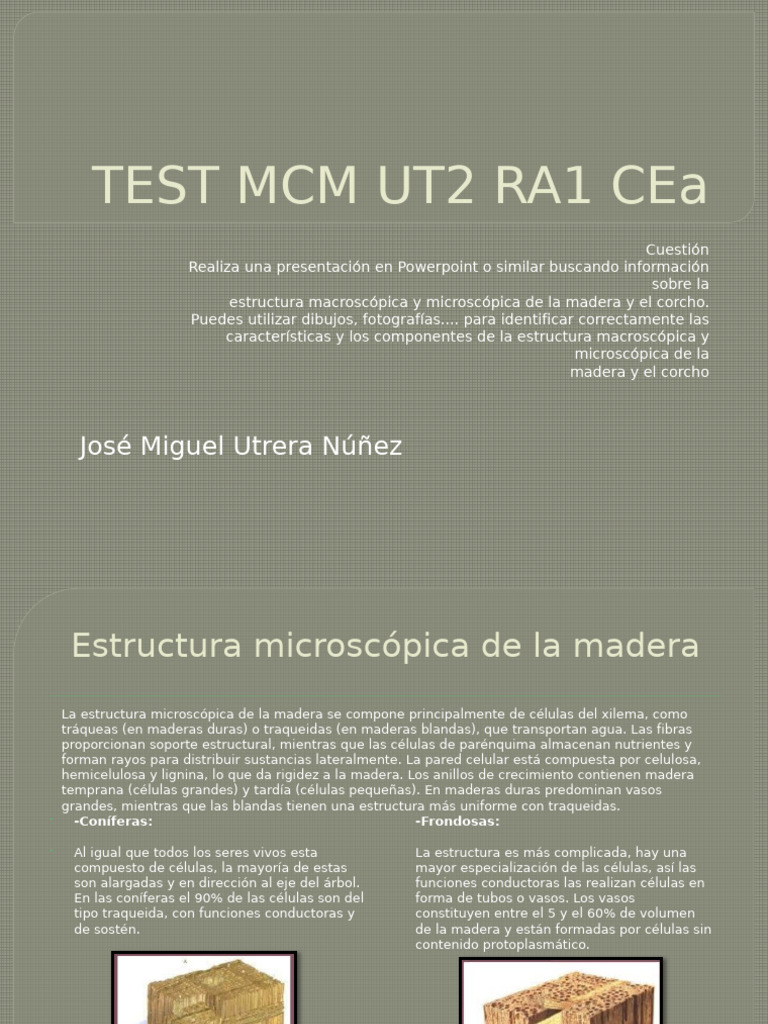 2.1 MCM JMUN | PDF | Madera | Biología Celular)
