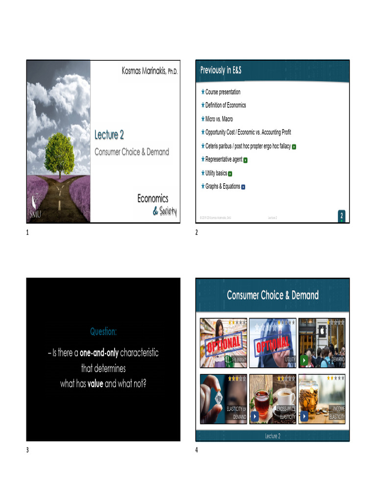 Slides02 Consumer Choice Demand | PDF | Elasticity (Economics) | Demand