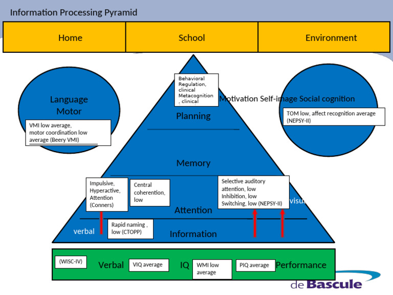 Information Processing Pyramid | PDF