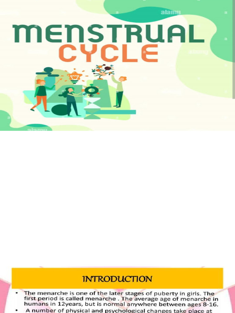 Menstrual Cycle | PDF