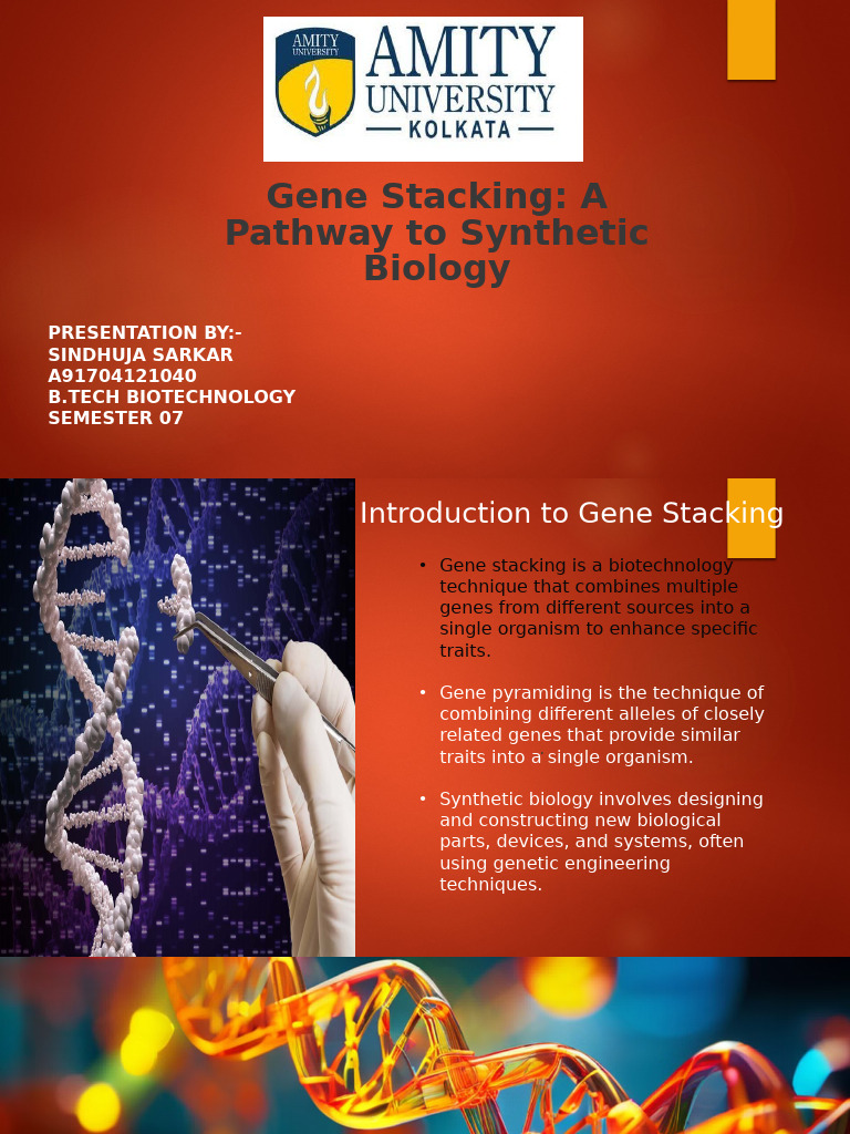 Gene Stacking-A Pathway To Synthetic Biology | PDF | Gene Expression | Gene
